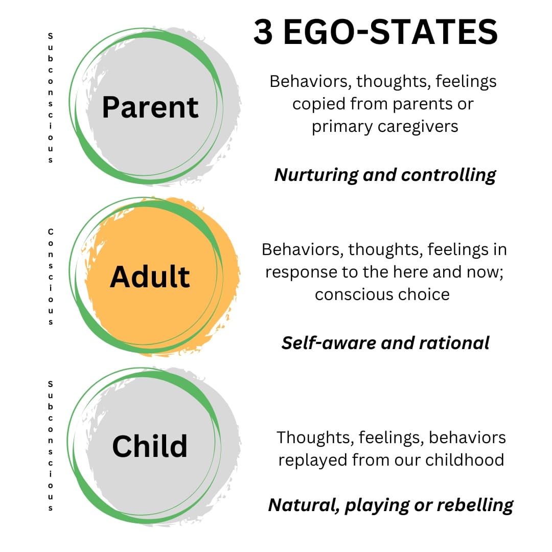 OARBED: How to build high-performing Teams through an 'above the line' peak mindset